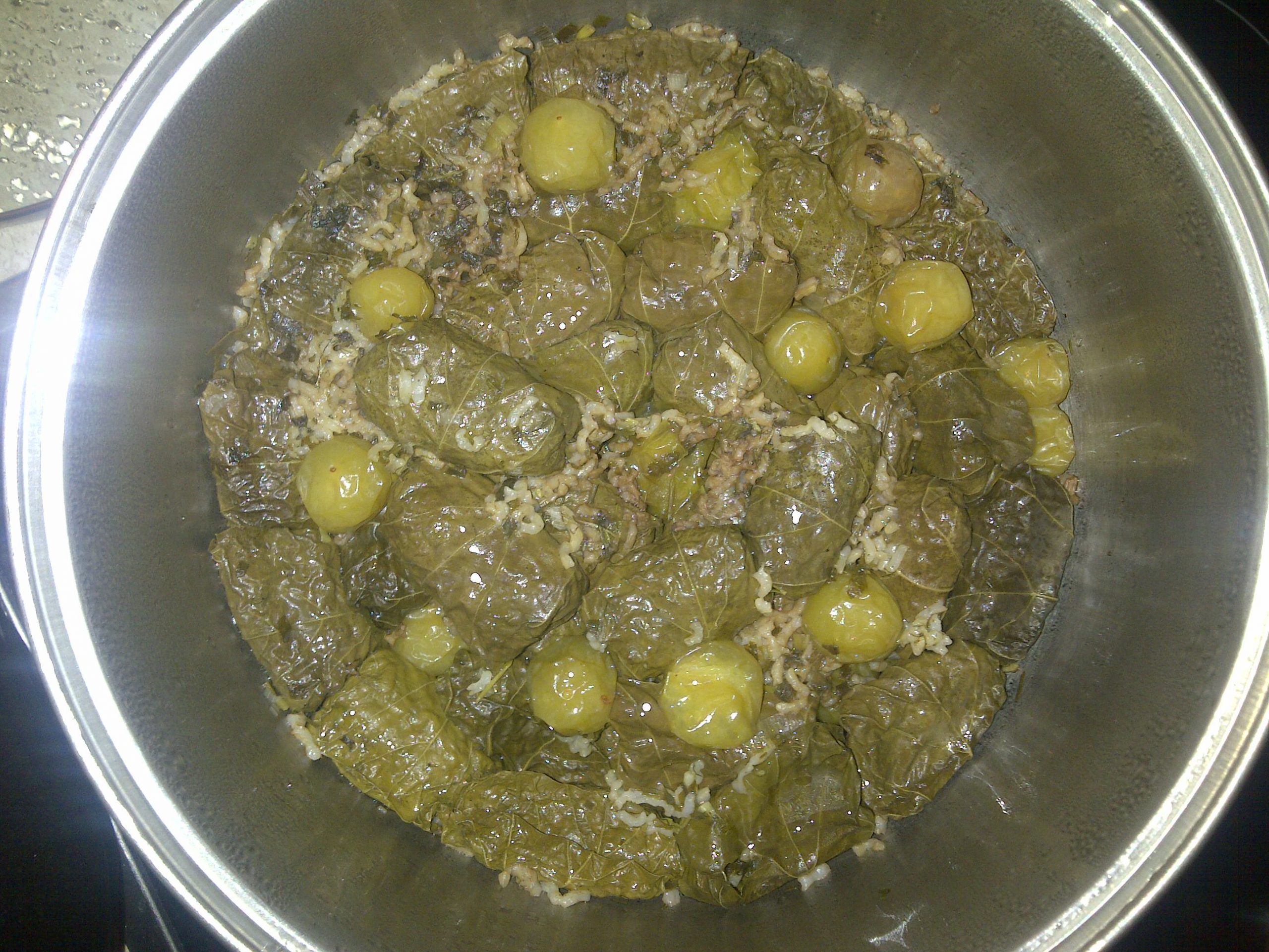 The cuisine column: Sarmi – The Sofia Globe