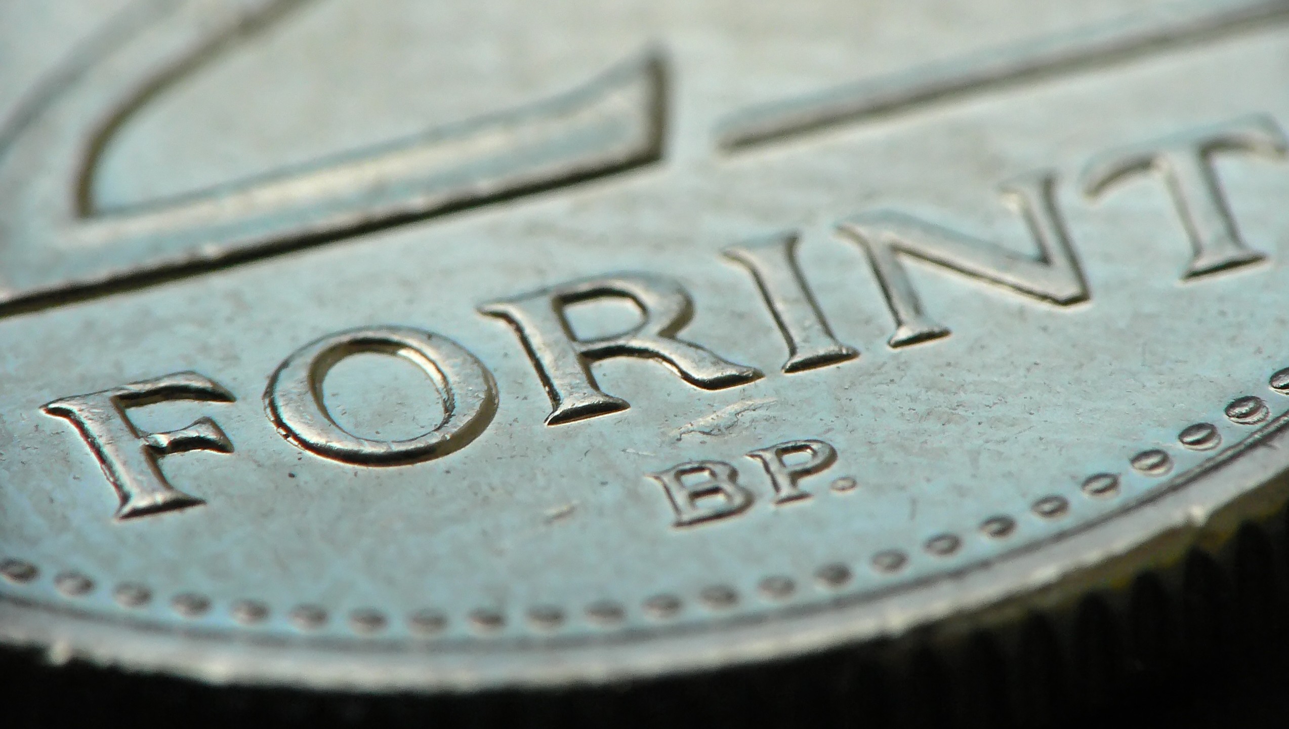 Surprise performer: forint gains most on dollar – The Sofia Globe