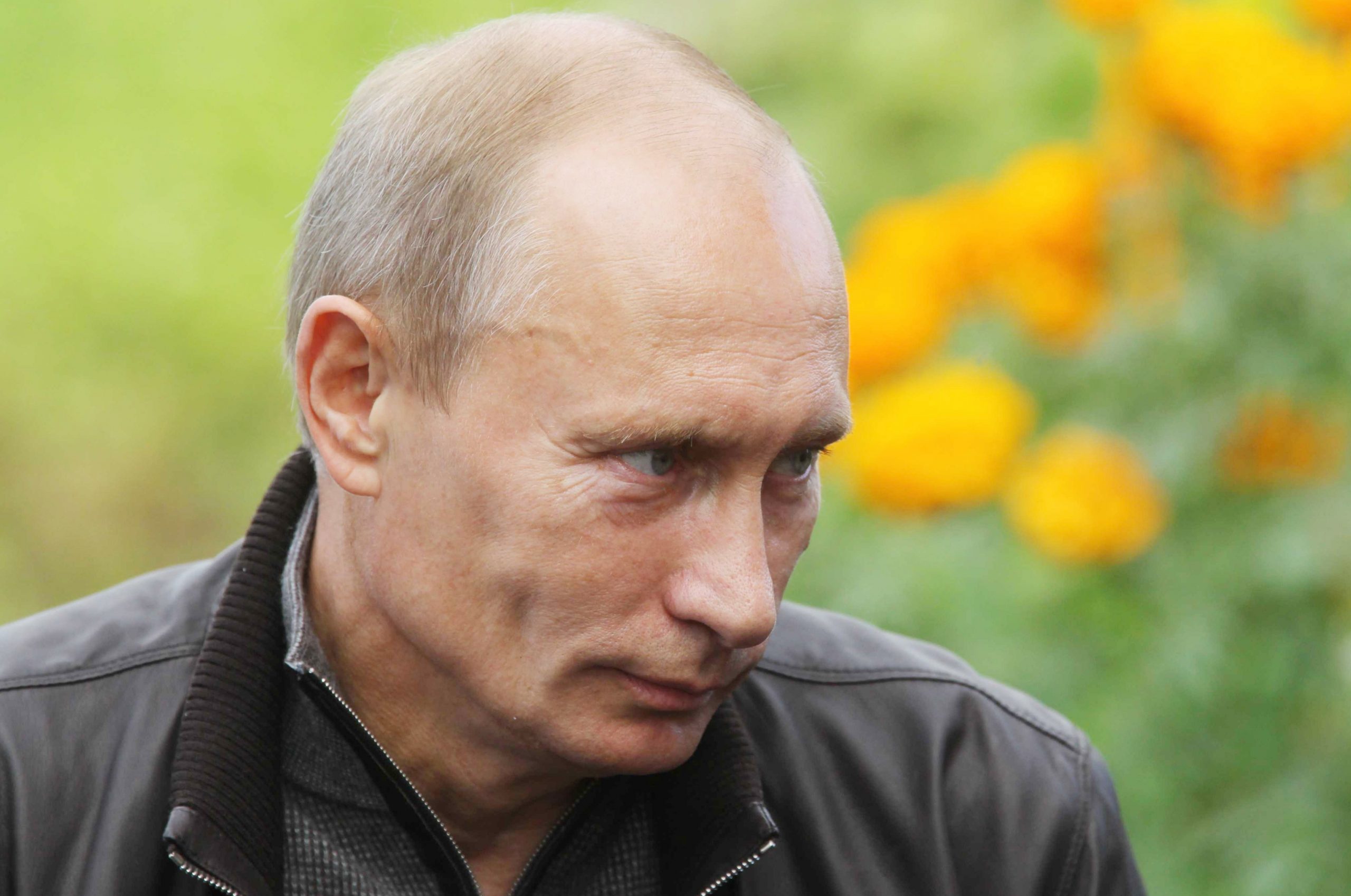 Putin to visit Bulgaria in December, not November – report – The Sofia ...
