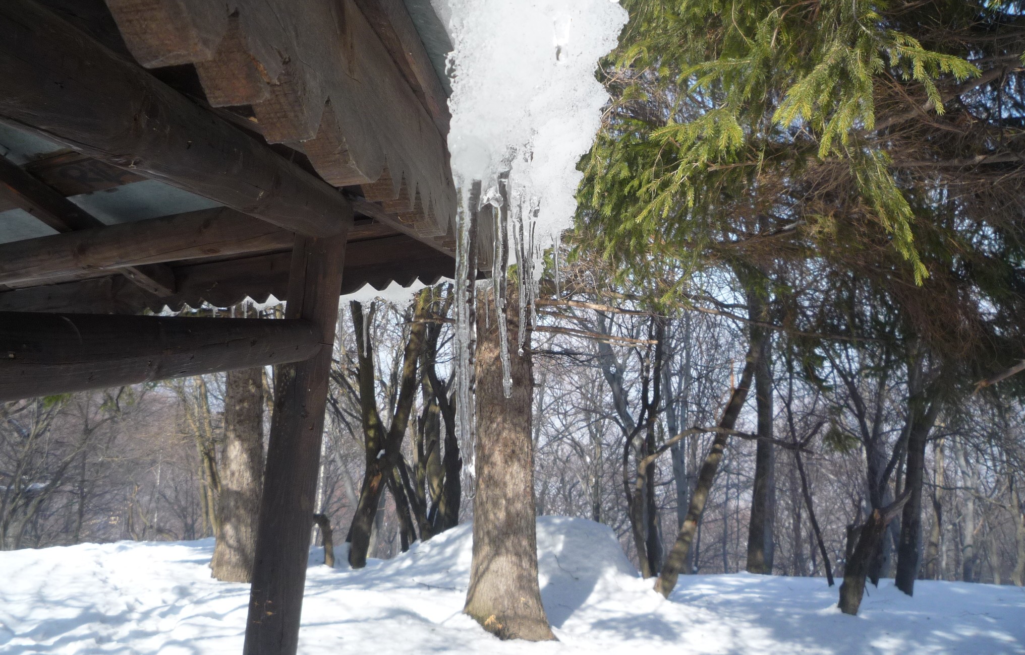 Snowdrifts, strong winds cause chaos in north-eastern Bulgaria as harsh ...