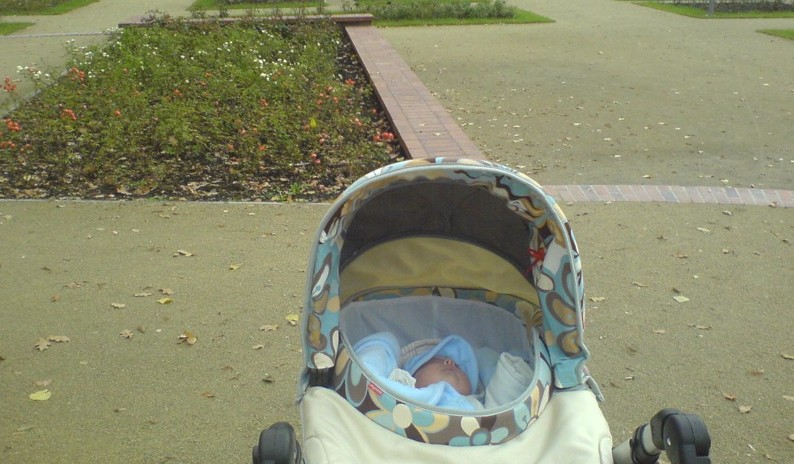 Bulgaria still lags behind EU average life expectancy – The Sofia Globe
