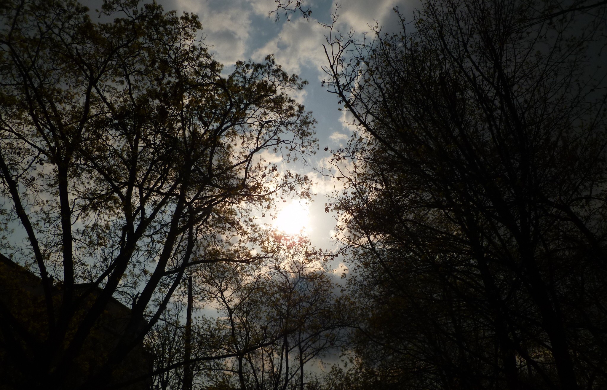 Bulgaria’s long weekend weather – cloudy with a chance of rain – The ...