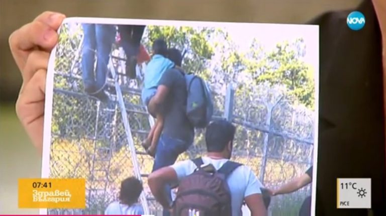 fence ladder – The Sofia Globe