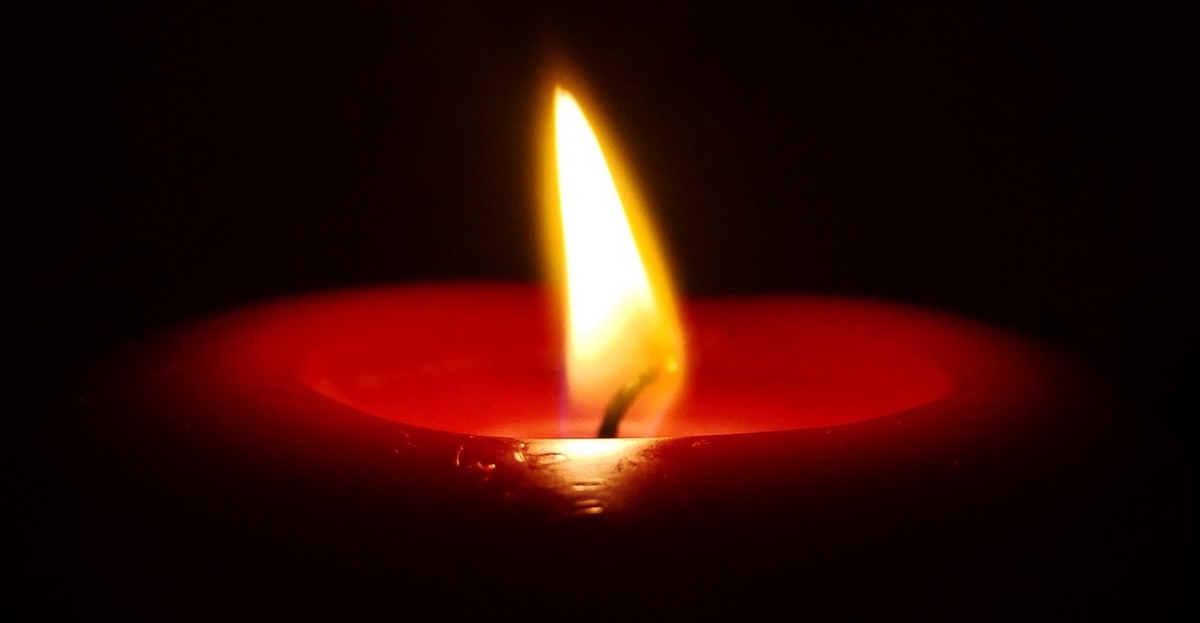 Bulgarian government declares April 14 day of national mourning for ...
