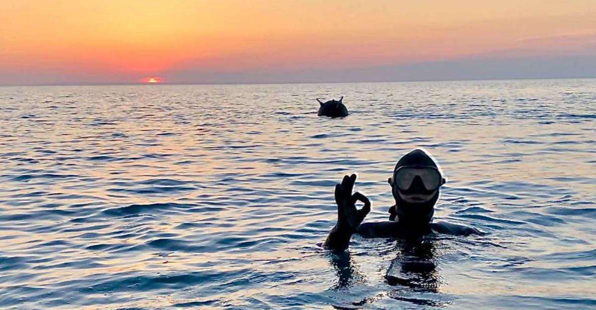 Bulgarian Navy destroys floating sea mine in Black Sea – The Sofia Globe