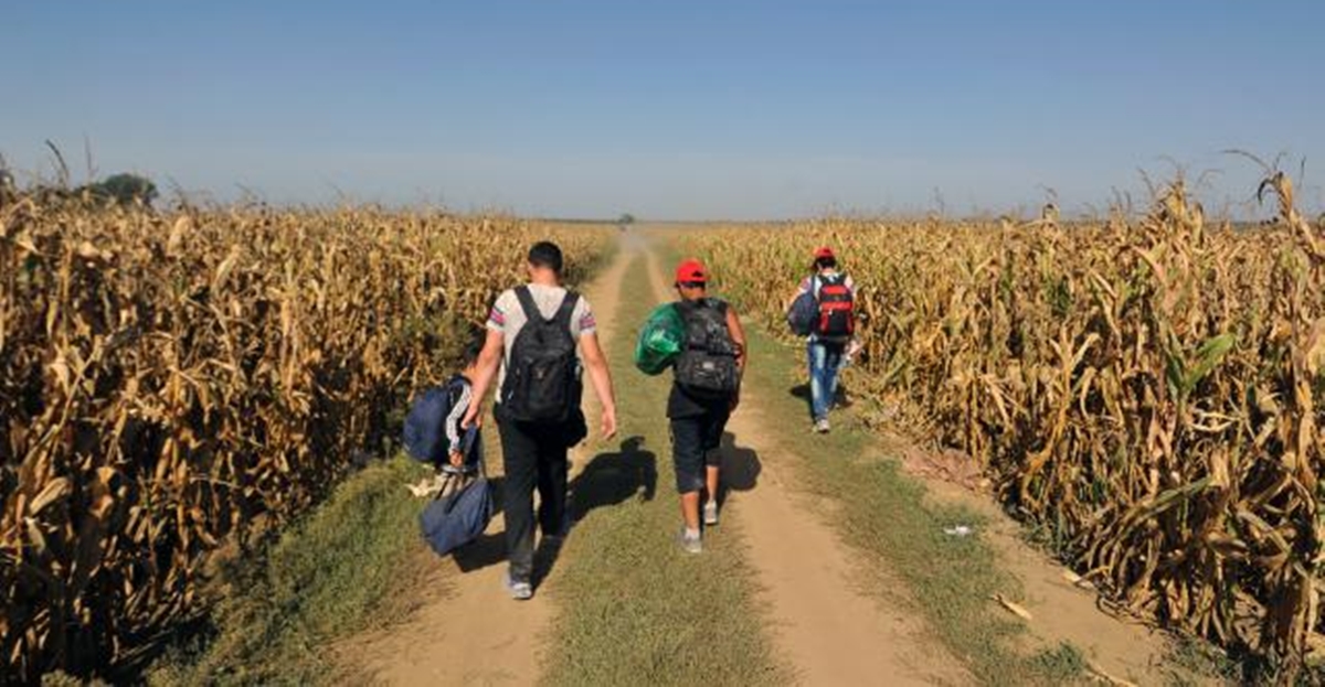 IOM’s World Migration Report 2024: Record number of displaced people ...