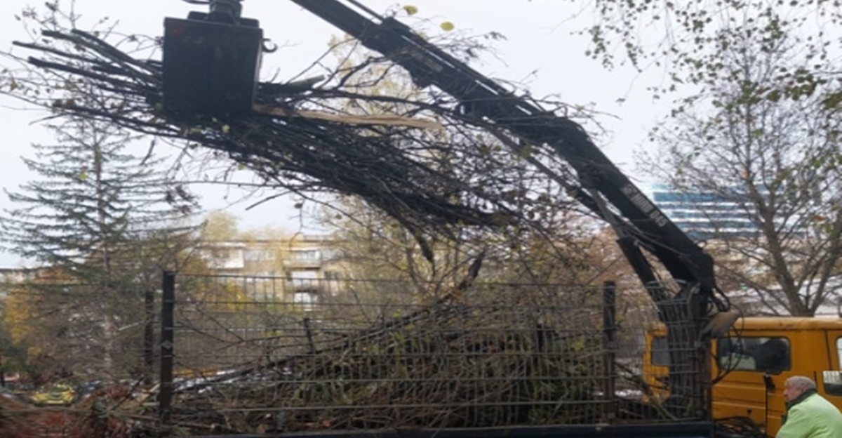 Aftermath of heavy snowfall: Sofia removes 758 tons of broken trees and ...