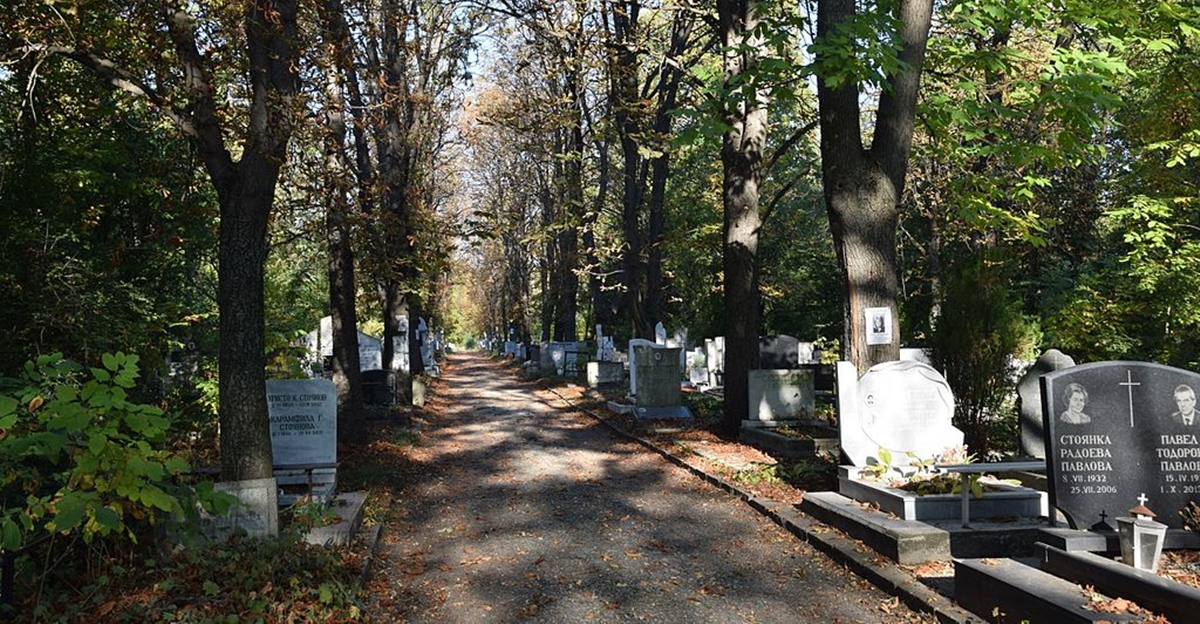 Eurostat: Three regions in Bulgaria had highest death rate in EU in ...