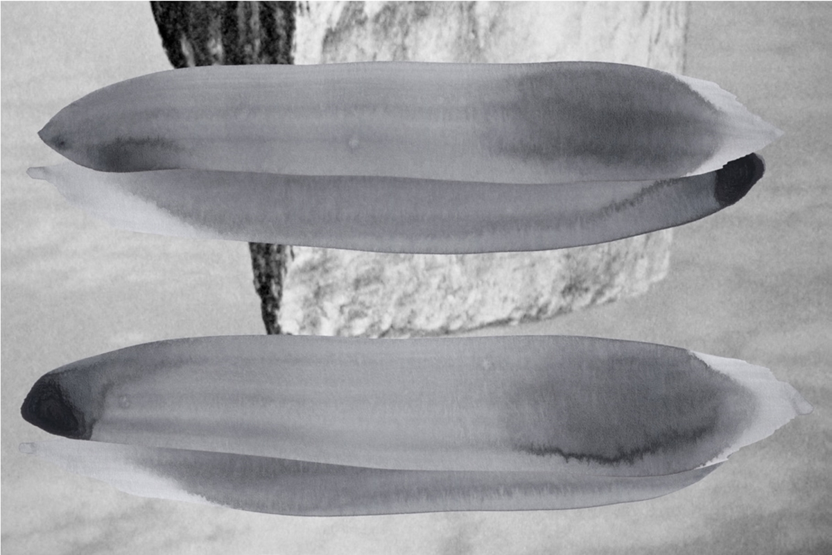 Exhibition ‘Landscapes, Alphabet’ by Bulgaria’s Pachev and Switzerland ...