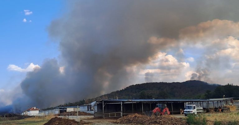 Bulgaria’s continuing heatwave: Dangerous weather warnings, wildfires ...