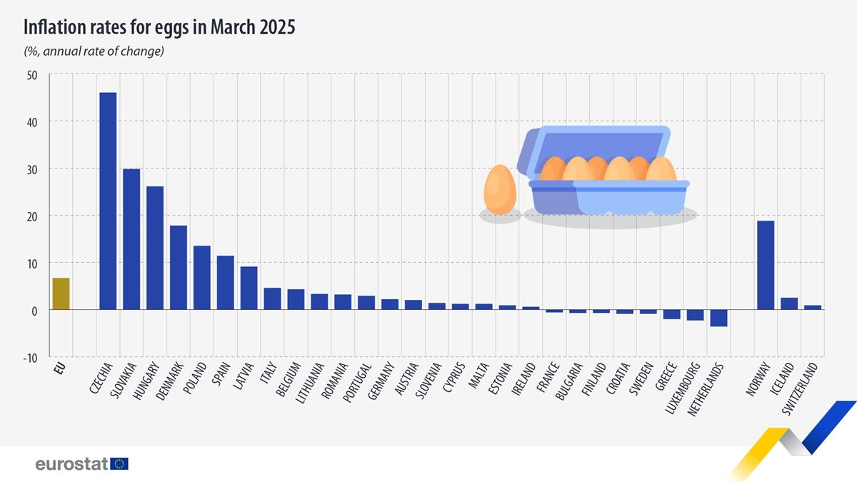 Eurostat: Slower increase in egg prices in EU over the past year – The ...