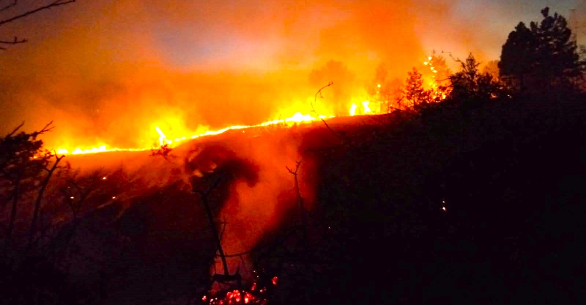 EU, Türkiye send help as Bulgaria battles blazes amid heatwave, strong ...