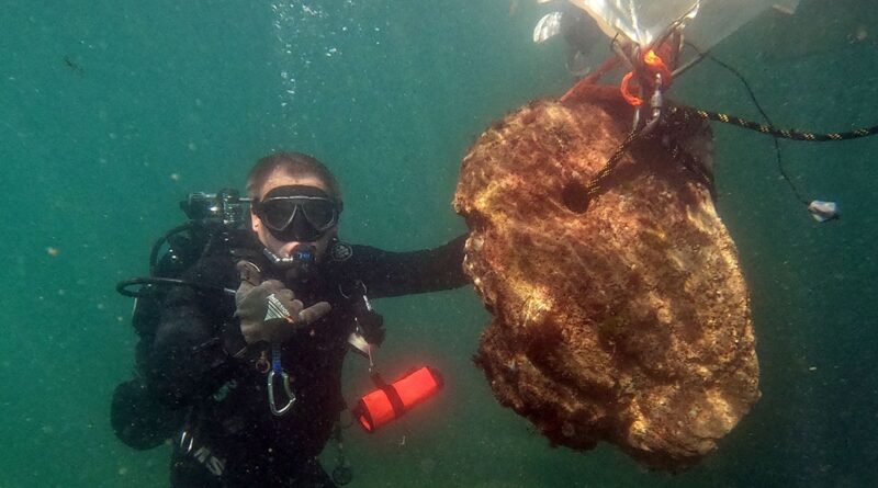 September 24, 2025 – The Sofia Globe