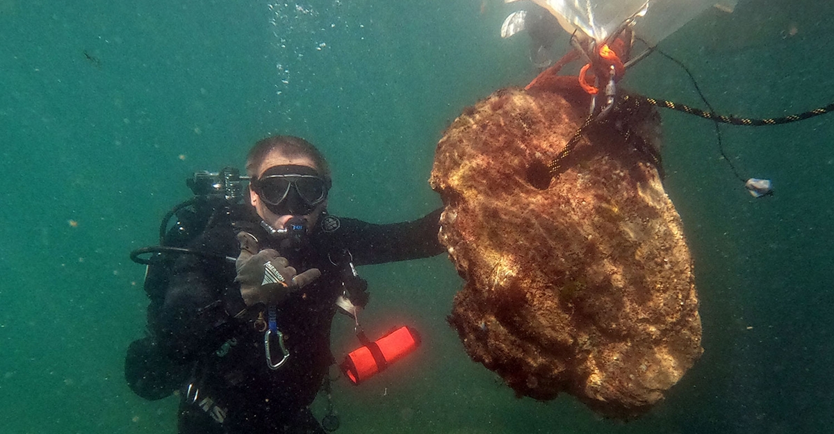 Archaeology: Traces of ancient harbour found off Bulgaria’s Black Sea ...