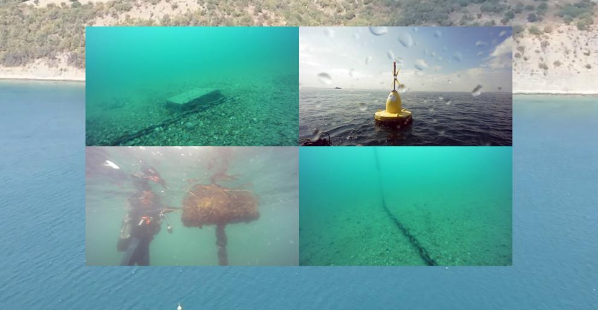 European prosecutors: Underwater searches show that EU-funded mussel ...