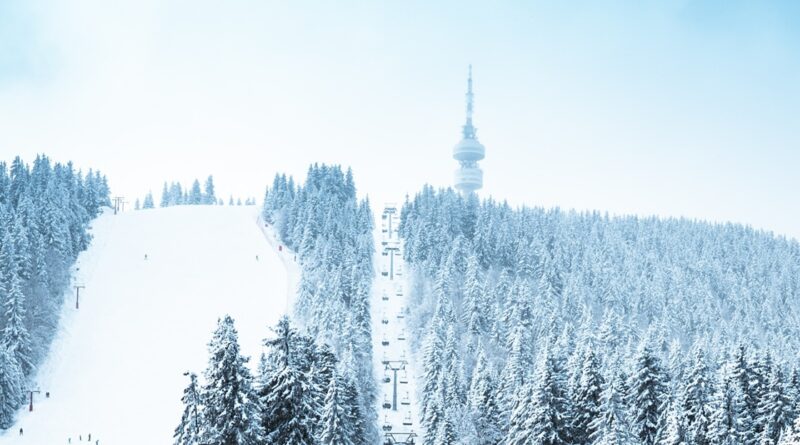 December 28, 2025 – The Sofia Globe