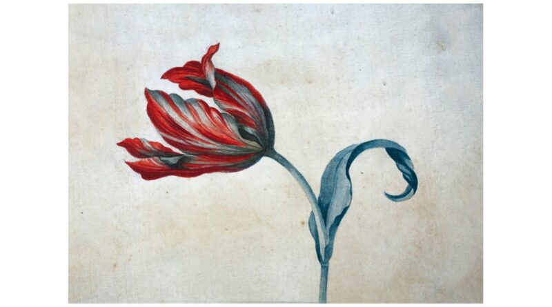 Bulgaria’s National Gallery to present Zahari Zograph Immersive ...